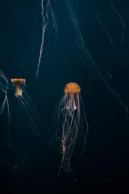 Download Marine Science Textbook PDF | Free Guide